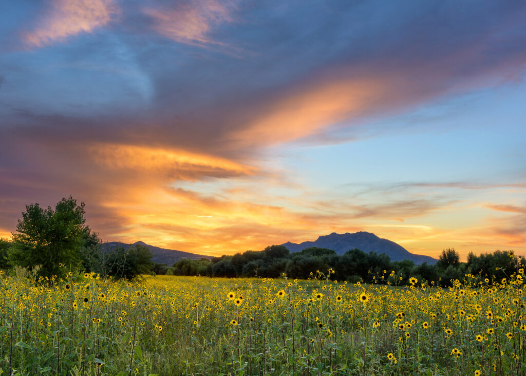 Recreation - City of Prescott AZ